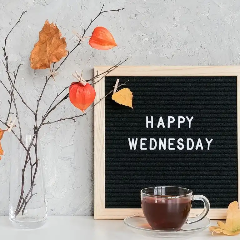 80+ Happy Wednesday Quotes - Quotes & Biography Hub